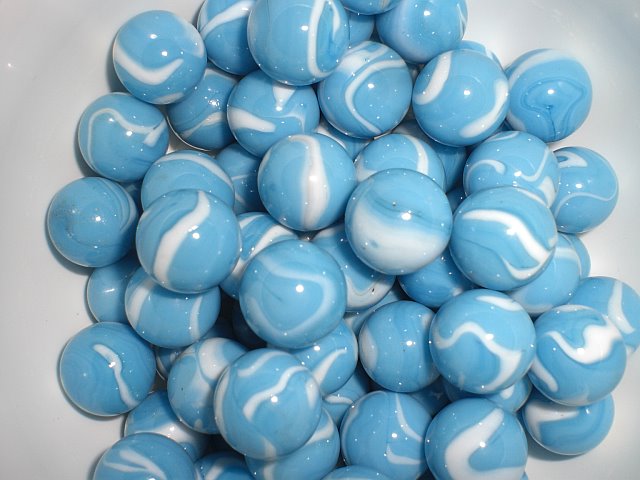 Saving Sharks with Sophi – Blog 7 – World Ocean’s Day!! – Shark ...