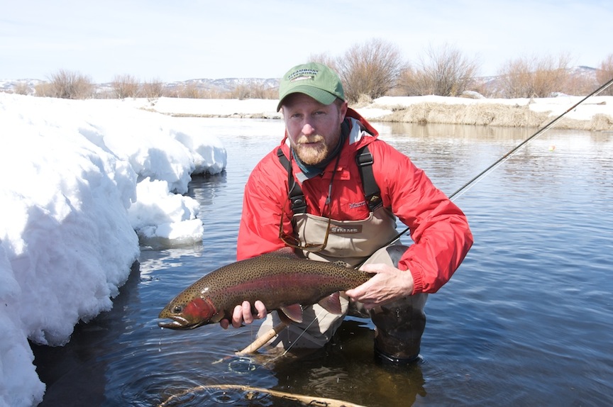 Another hammerhead added to the family! – Shark Research & Conservation ...