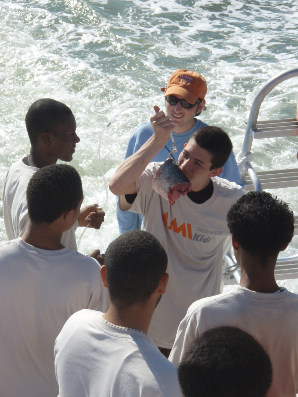 A Steady Day with Miami AMI – Shark Research & Conservation Program ...
