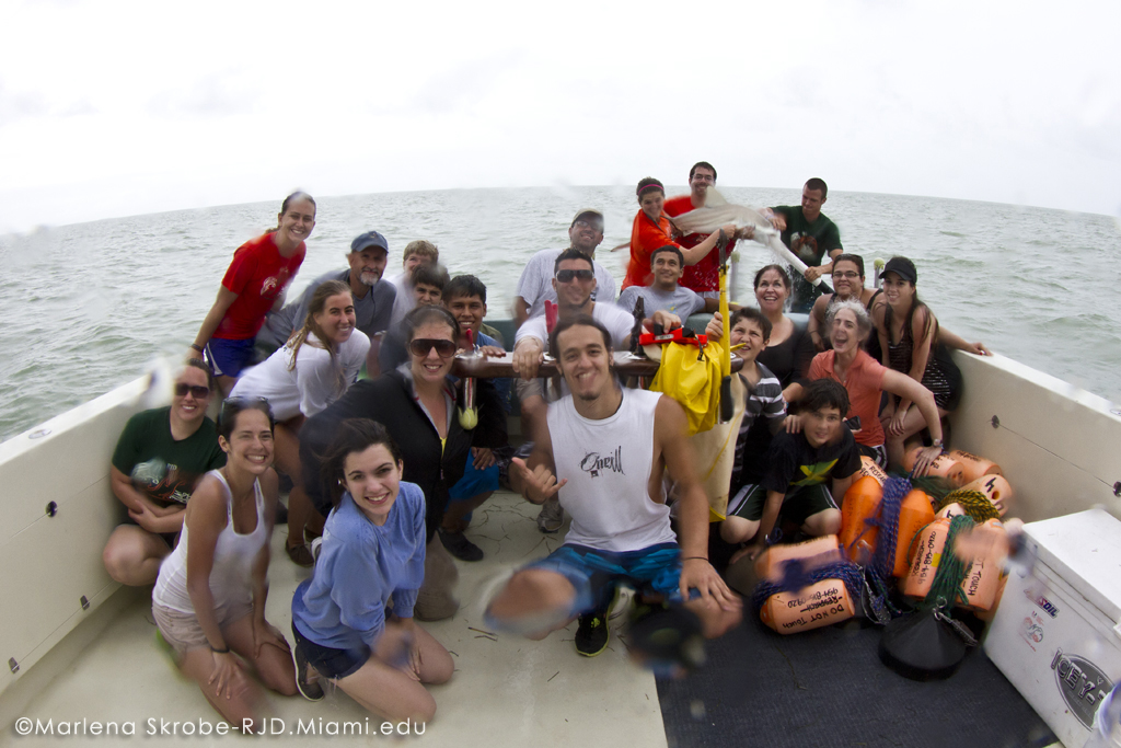 Shark tagging with Miami Dade College and friends – Shark Research ...