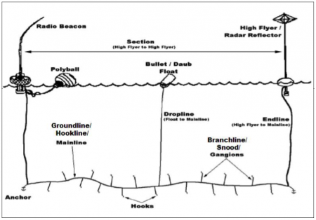 Longlining: A destructive fishing technique – Shark Research ...