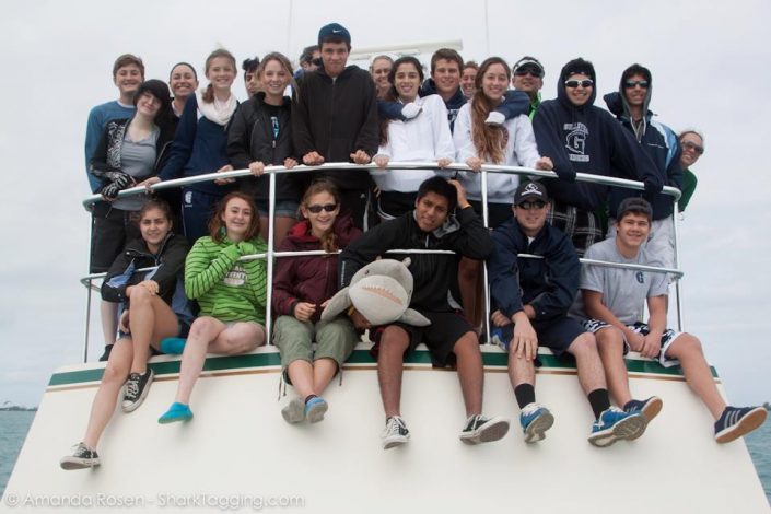 Gulliver – Shark Research & Conservation Program (SRC) | University of ...