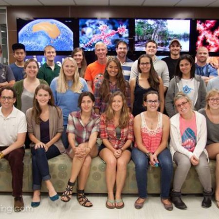 Sea Otters: Their Role in Controlling the Abundance of Other Organisms ...