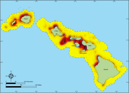 Hawaiian Humpback Whale Conservation – Shark Research & Conservation ...