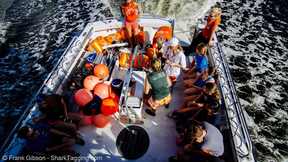 Shark Tagging in West Palm Beach with American Heritage Academy – Shark ...