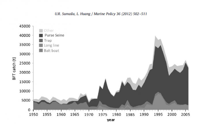 Atlantic Bluefin Tuna Fisheries: A Case of Mismanagement – Shark ...