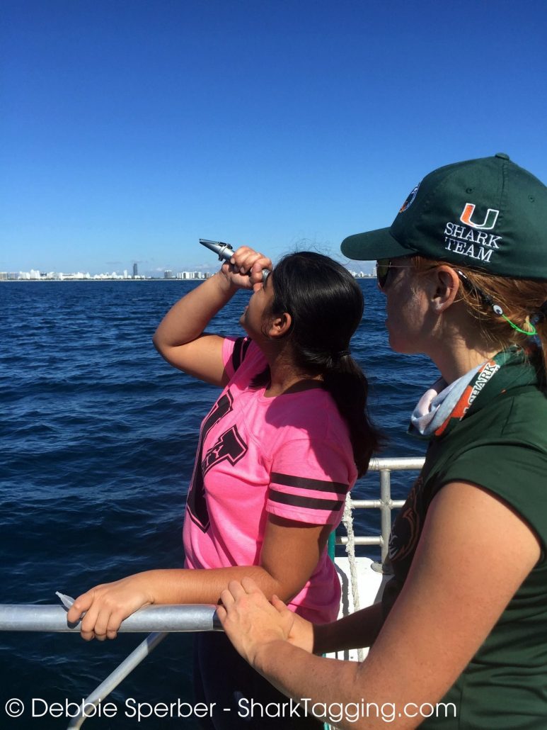 Shark Tagging with Riviera High – Shark Research & Conservation Program ...