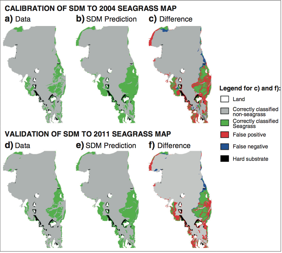 Modeling for Management: Predicting Ideal Conditions for Seagrass ...
