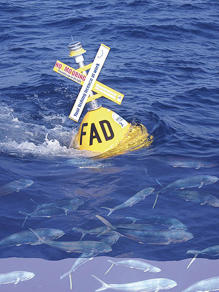 FAD’s and Food Security in the Pacific Islands – Shark Research ...