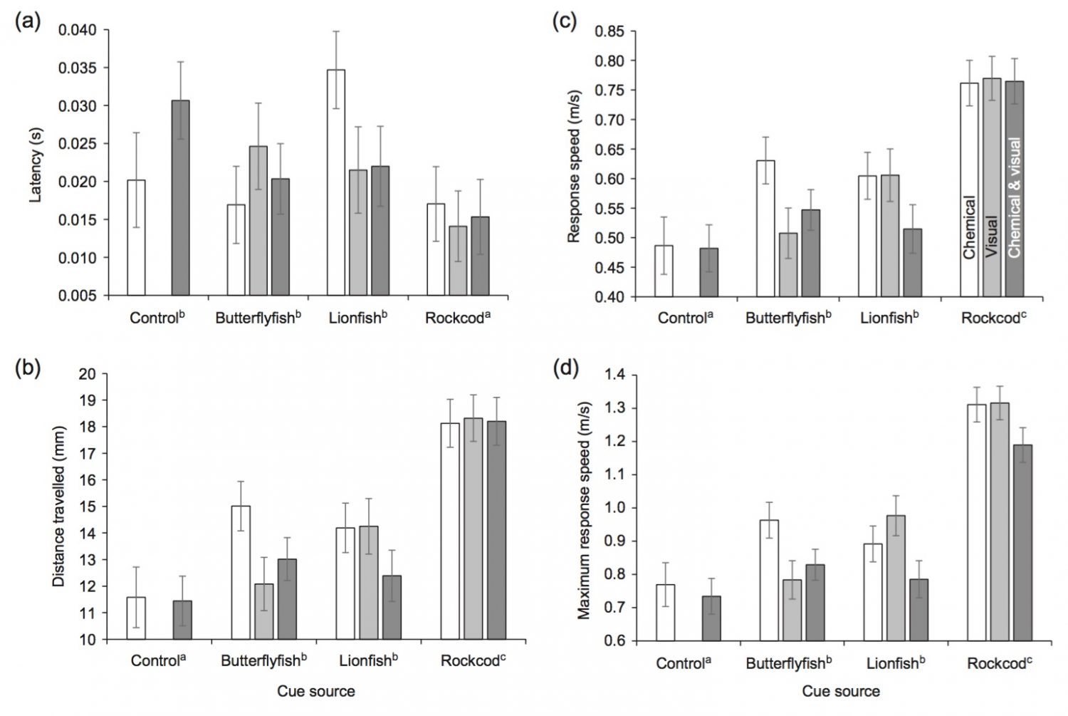 Sneaky Predators – Shark Research & Conservation Program (SRC ...