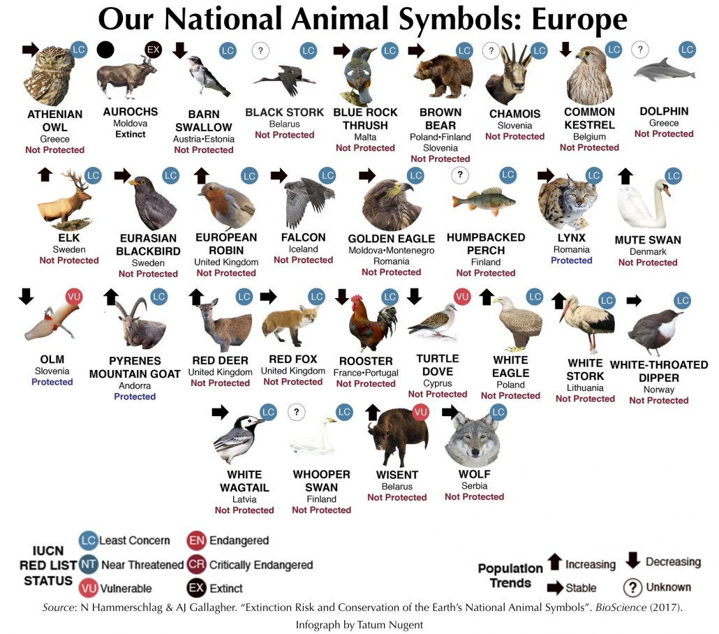 National Animal Symbols: Europe – Shark Research & Conservation Program ...