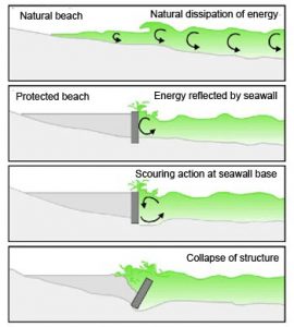 Seawalls: Allowing humans to build closer to water, but altering ...