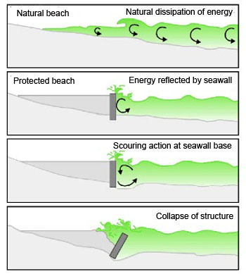 Seawalls: Allowing humans to build closer to water, but altering ...
