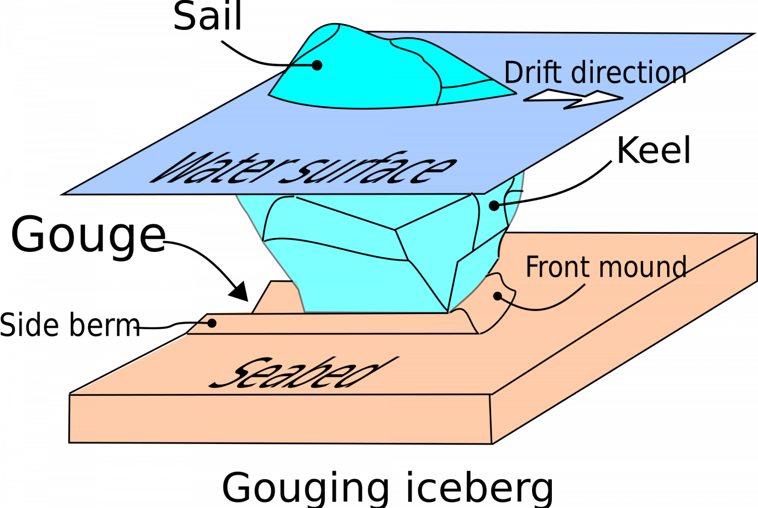 The Importance of Deep-Water Coral on the Antarctic Continental Shelf ...