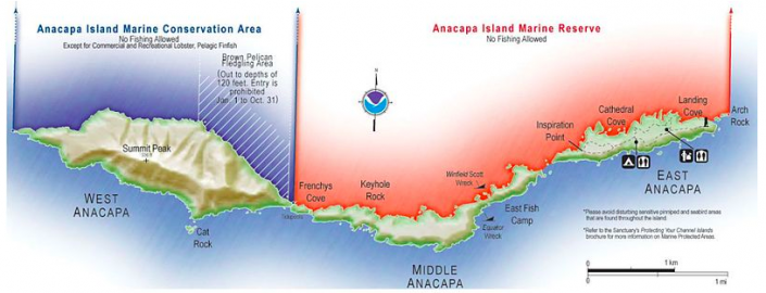How Marine Reserves Can Help Preserve Ecosystems by Reducing Bycatch ...