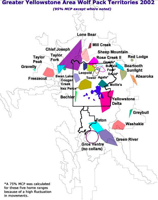 How the complexity of the average marine organism life cycle affects ...