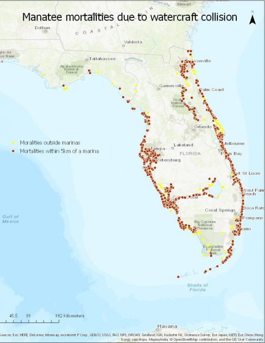 Historical vulnerability of manatees to boat strikes in Florida – Shark ...