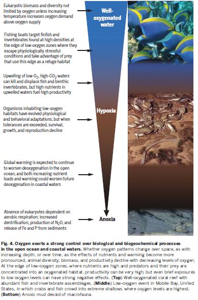 Declining oxygen in the global ocean and coastal waters: A summary – Shark Research ...