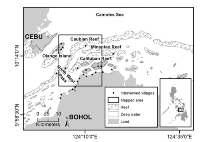 Spatial Dynamics as an Approach to Fisheries Management – Shark ...