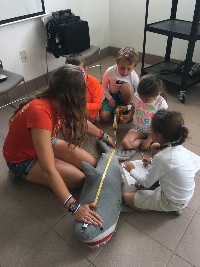 Marine Biology Curriculum for Middle School – Shark Research ...