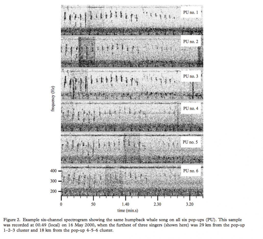 The Study of Humpback Whale Songs as Indicators of Migratory Routes ...