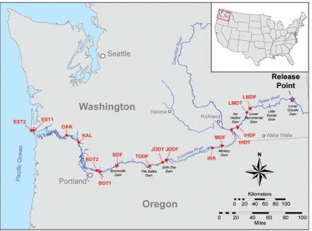 A Summary of Acoustic Tagging and Juvenile Salmon Acoustic Telemetry ...