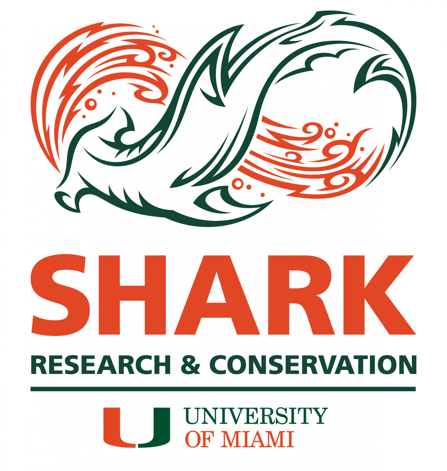 2020 Shark Research and Conservation Highlights – Shark Research ...