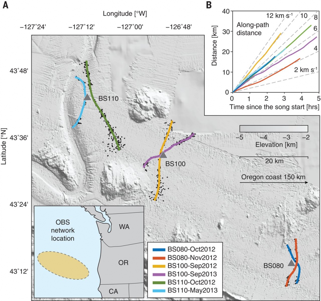 Music of the ocean: The importance of fin whale vocalizations – Shark ...