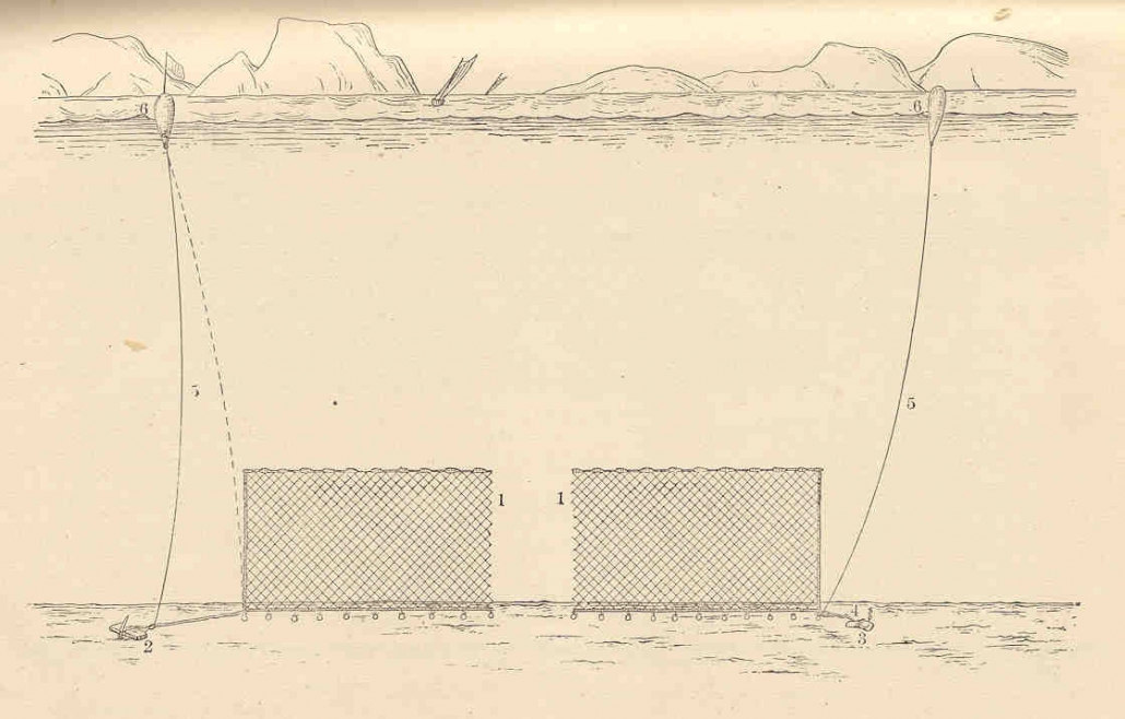 Using Light to Reduce Sea Turtle Bycatch – Shark Research ...