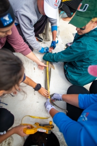 School Group Field Experiences – Shark Research & Conservation Program ...