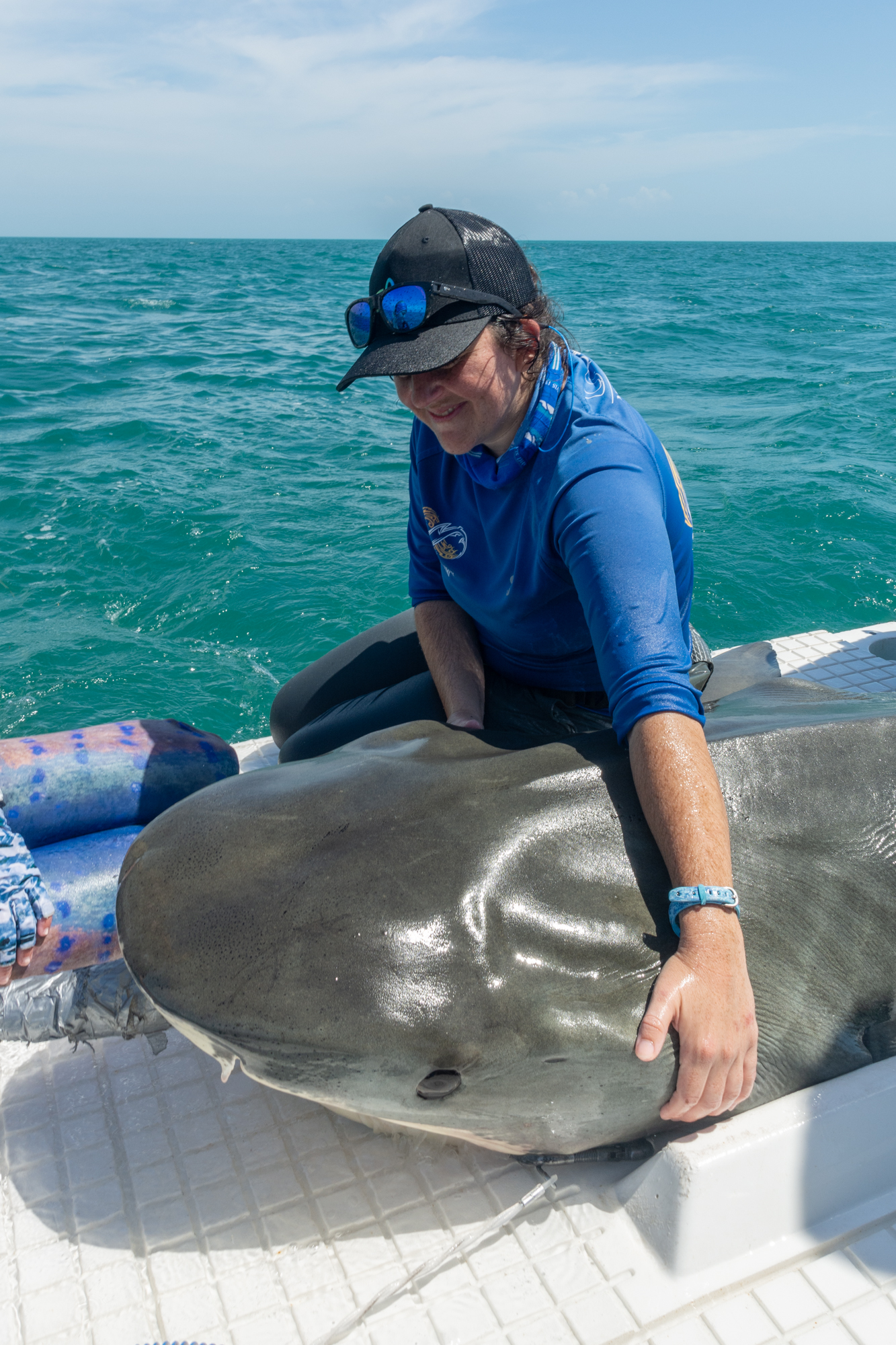 Master’s & Ph.D – Shark Research & Conservation Program (SRC ...
