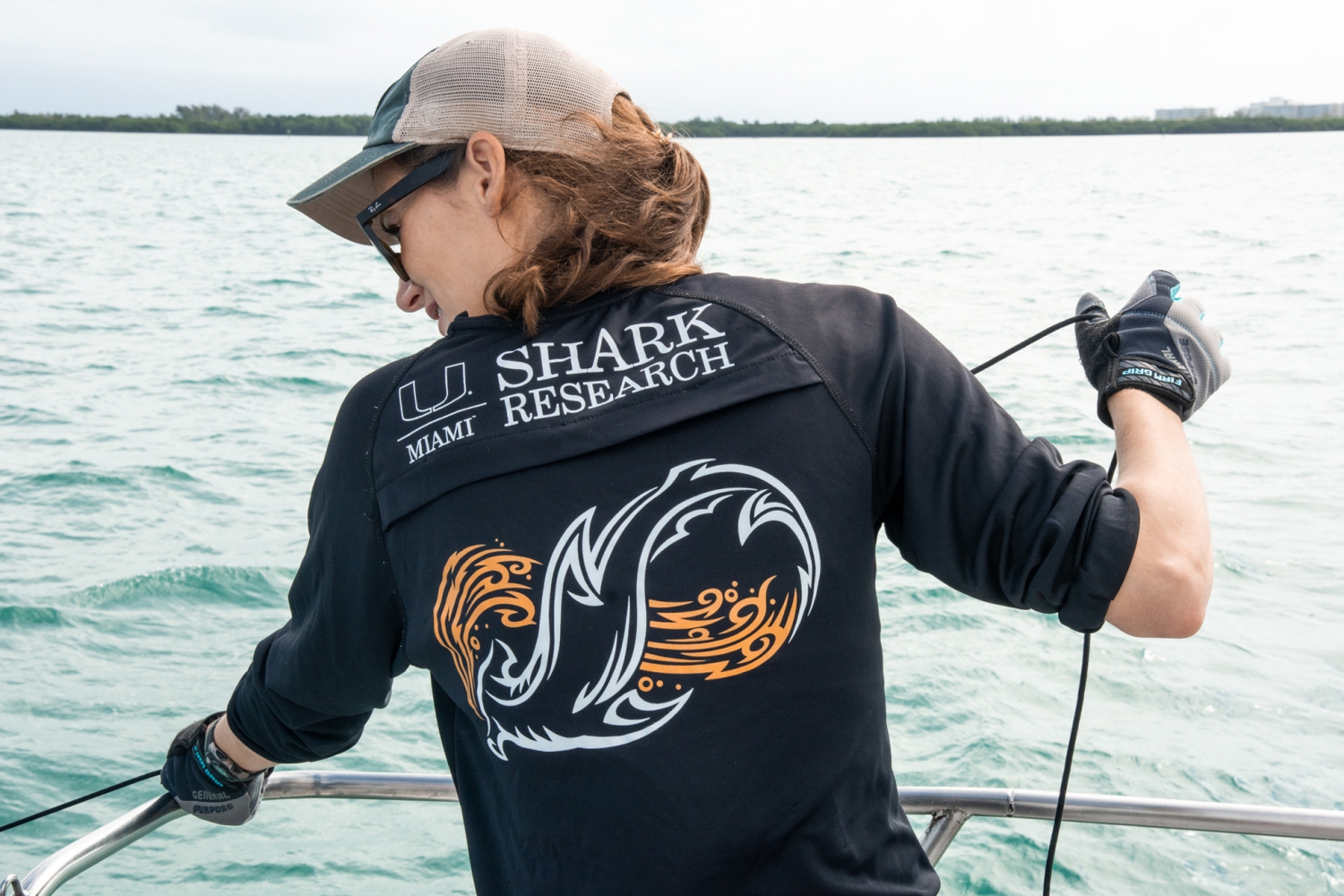 Our Director – Shark Research & Conservation Program (SRC) | University of Miami